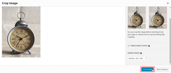 Adding and Replacing Images in WordPress | BoldGrid