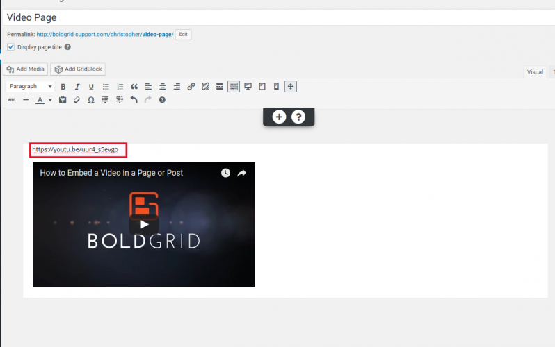 How To Embed a Video | BoldGrid