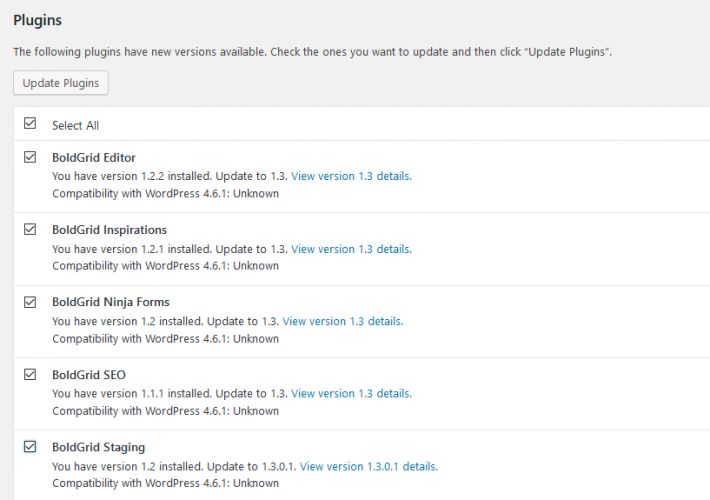 How to Update BoldGrid | BoldGrid