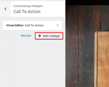 How to Use Widgets in the WordPress Customizer | BoldGrid