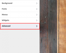 Using Advanced Customizer Options in WordPress | BoldGrid