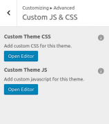 Using Advanced Customizer Options in WordPress | BoldGrid