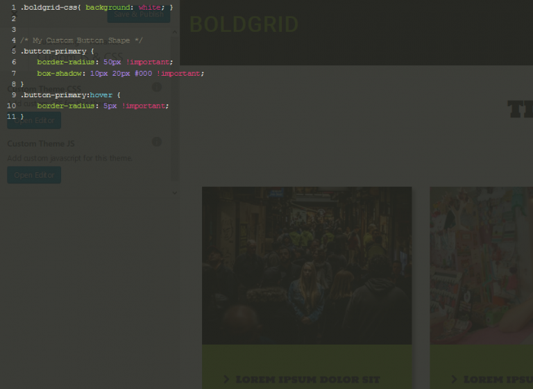 How to Change Button Styles using the Customizer