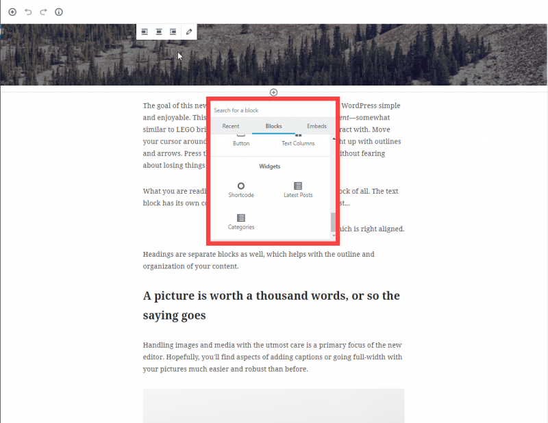 Using Widgets in the Gutenberg Editor