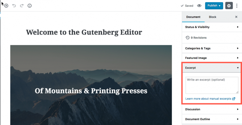 How to Create an Excerpt Using the Gutenberg Editor