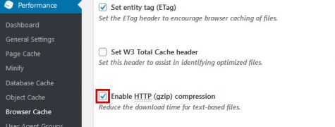 What is Gzip Compression and How Do I Enable it?